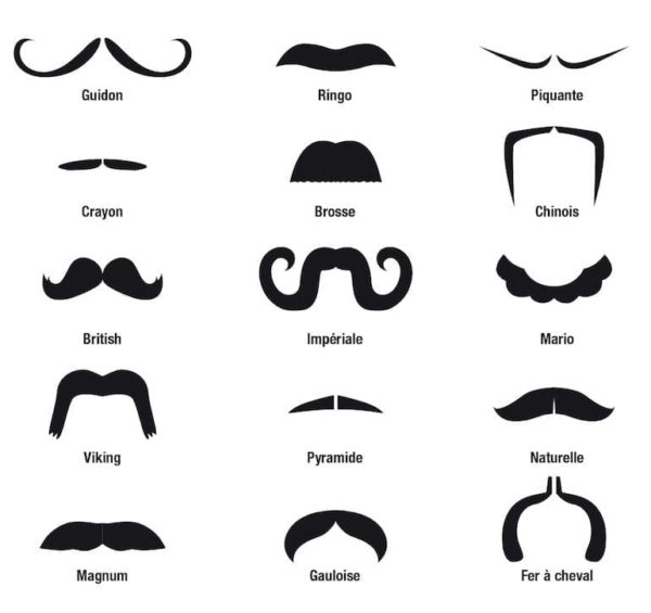 Typologie de la Moustache | Monsieur